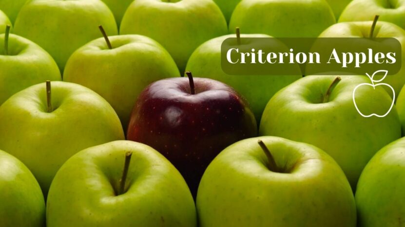 Produce Oasis - Fresh Inspiration for Your Kitchen