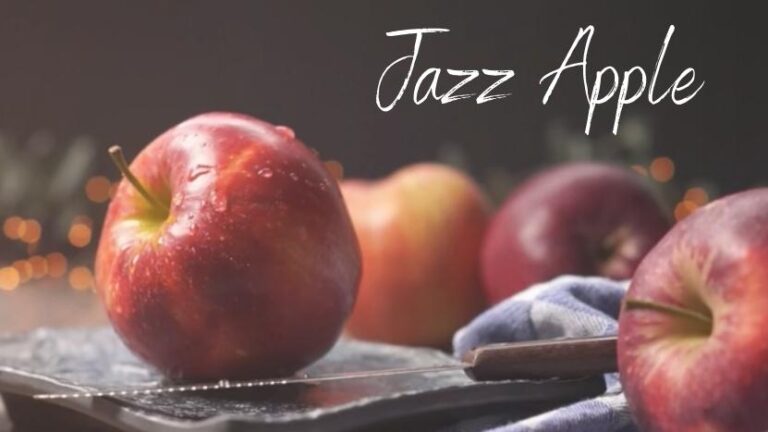 Jazz Apple: Discover the Natural Brilliance and Exquisite Taste