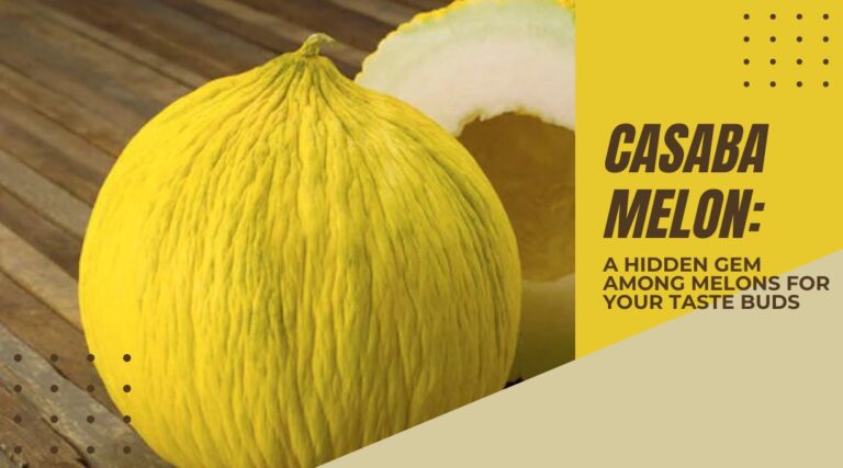 Casaba Melon: A Hidden Gem Among Melons for Your Taste Buds